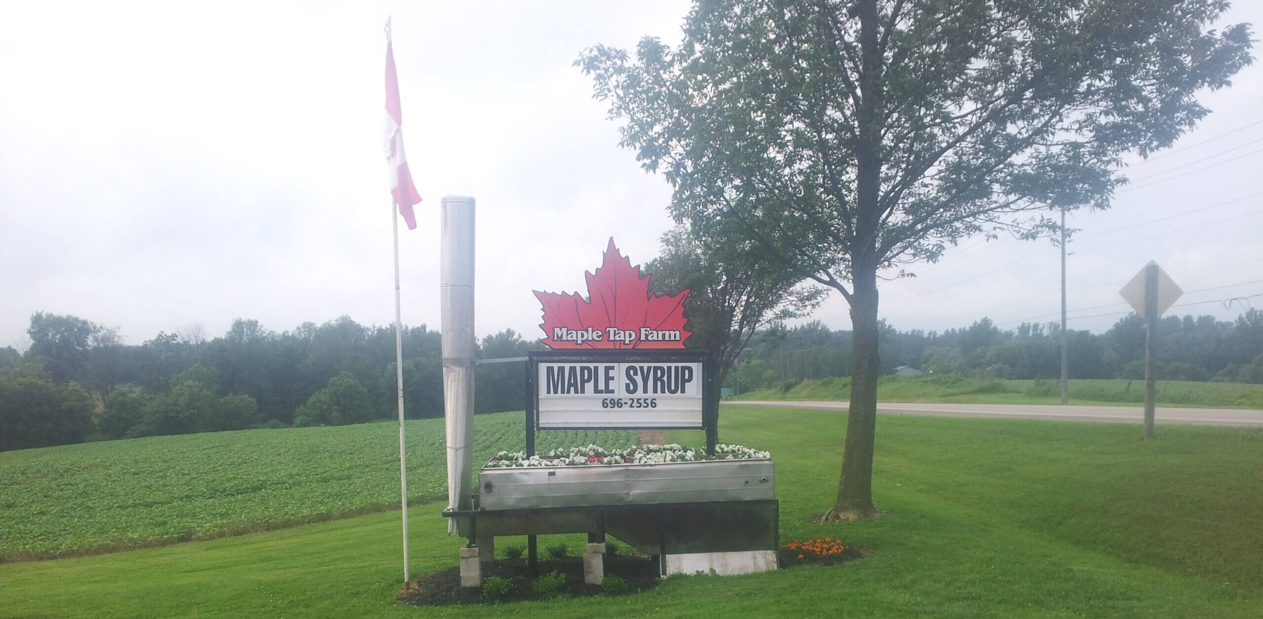 Blog - Maple Tap Farm